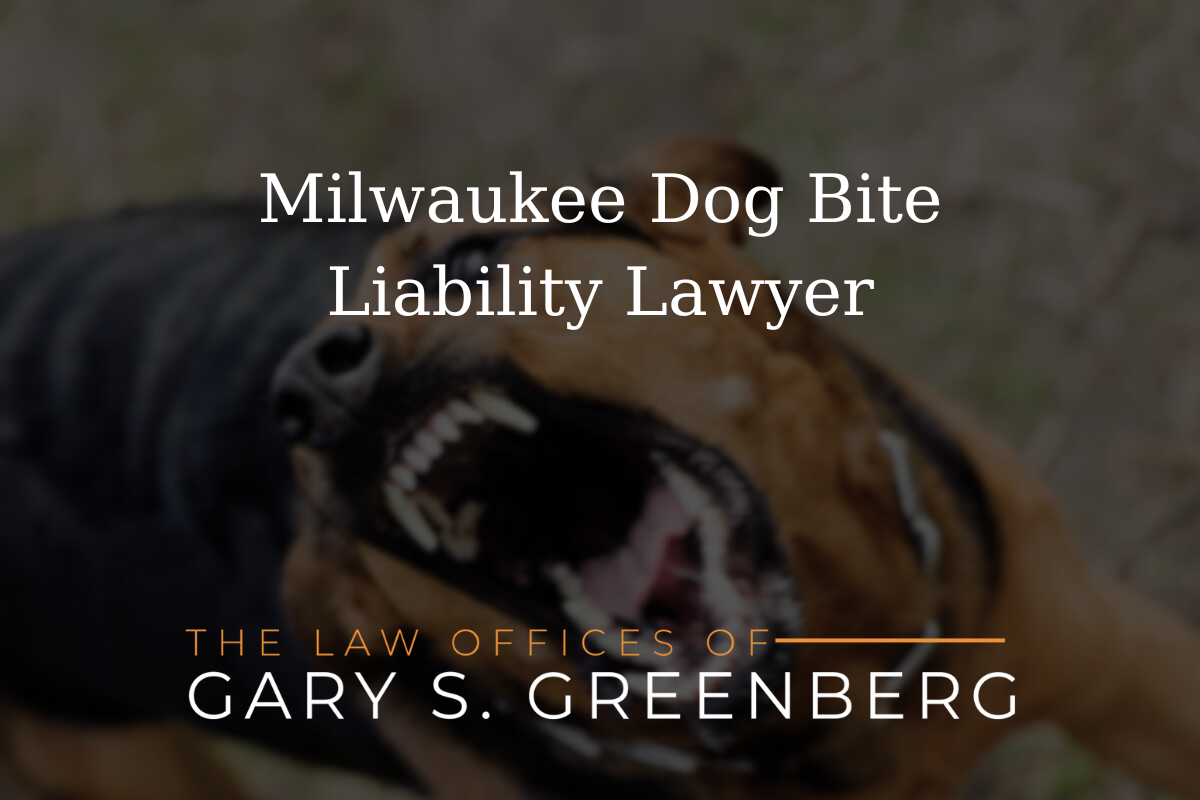 Milwaukee Dog Bite Liability Lawyer | Law Offices of Gary S. Greenberg