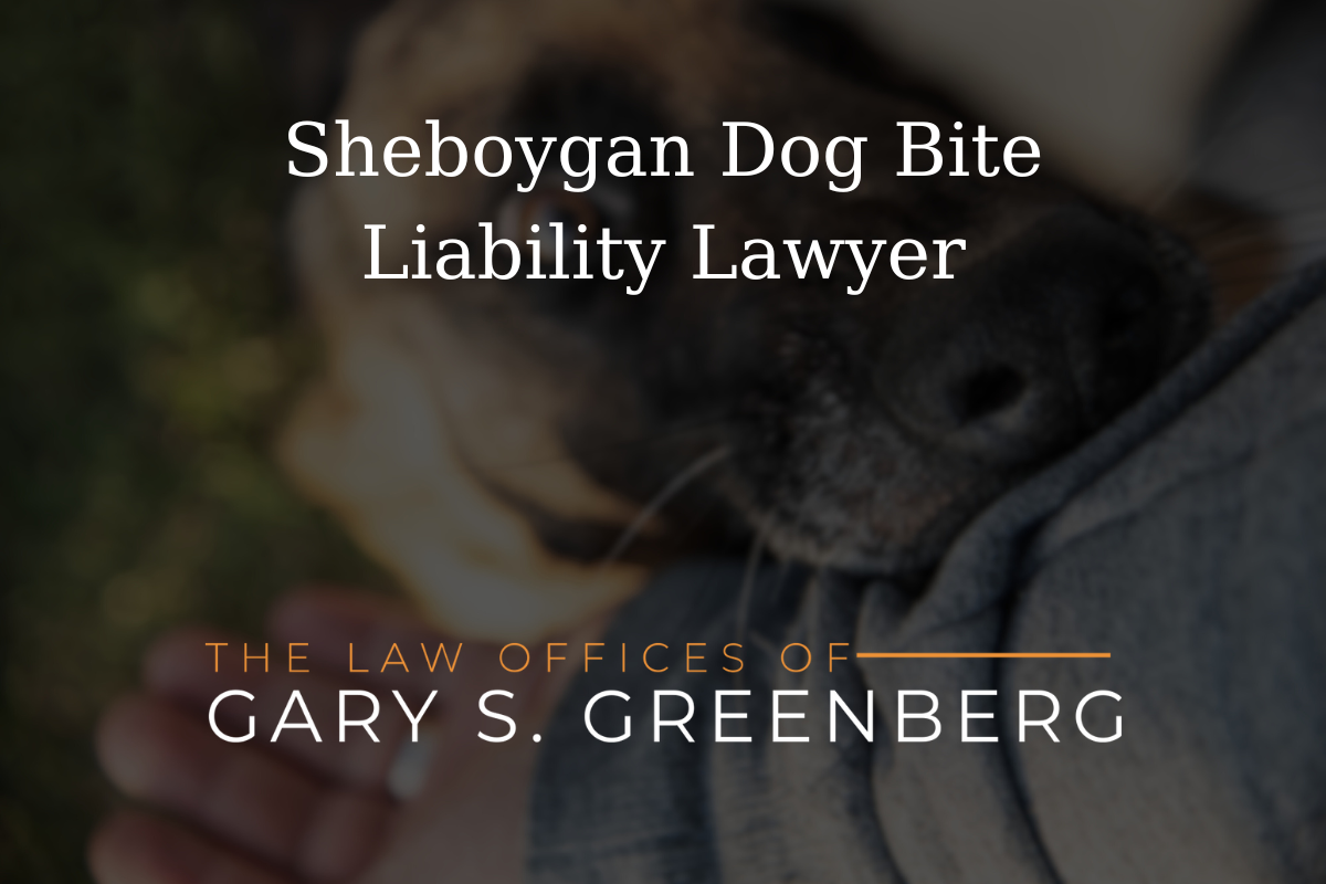 Sheboygan Dog Bite Liability Lawyer | Law Offices of Gary S. Greenberg